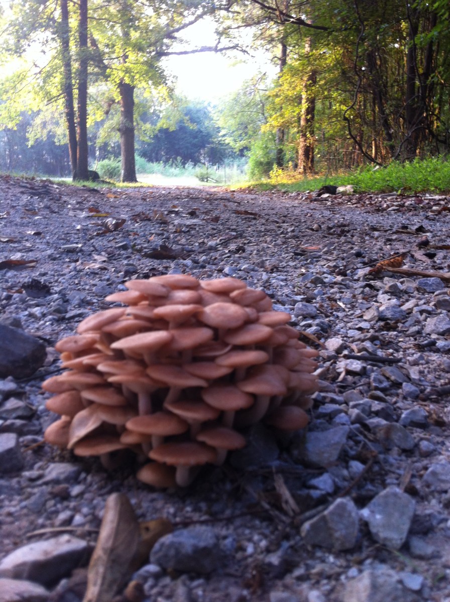 Dry Places – thelifeididntchoose