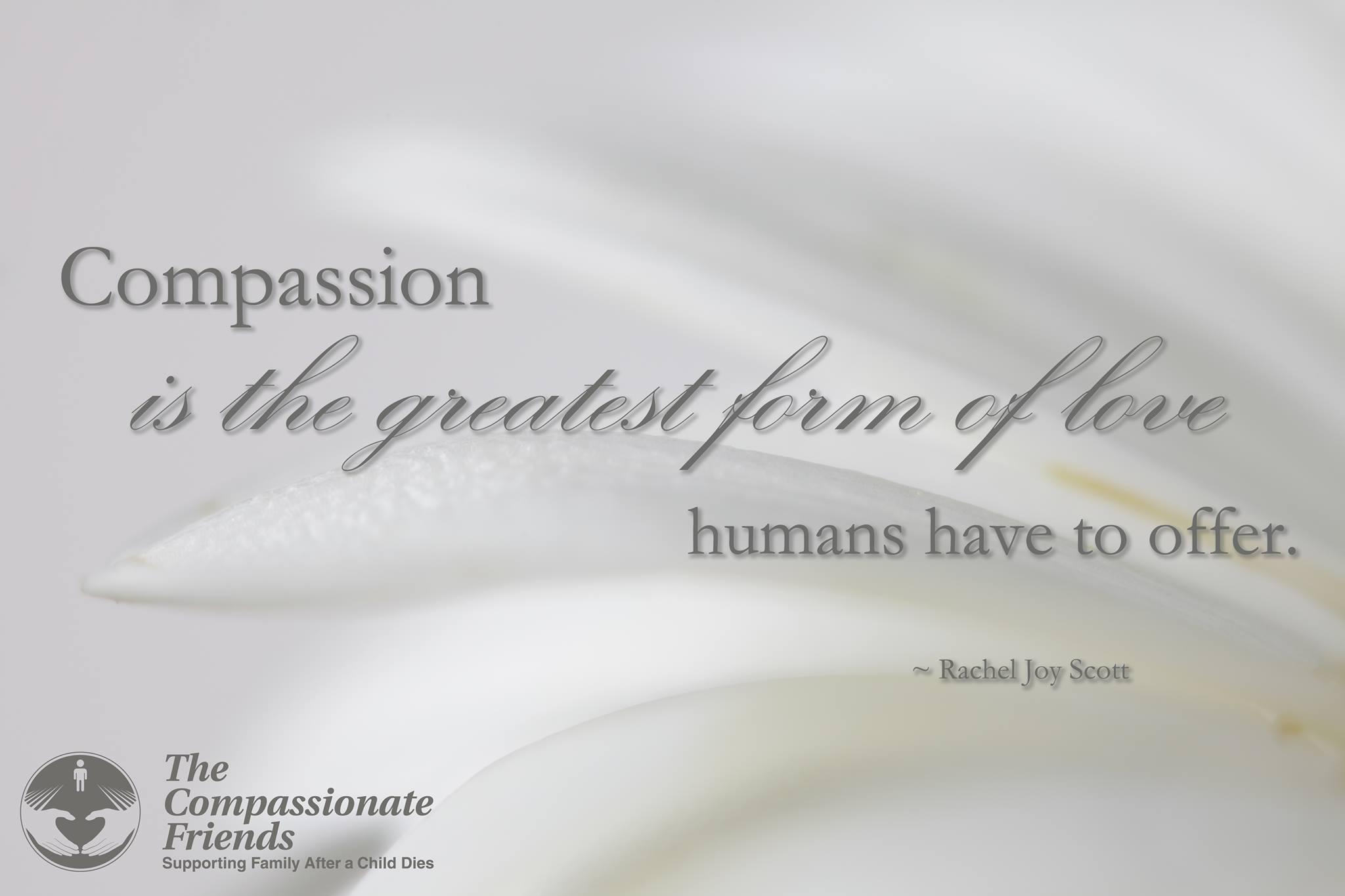 the cost of compassion – thelifeididntchoose