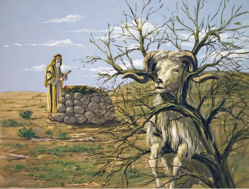 Jehovah-Jireh: The LORD My Provider – thelifeididntchoose