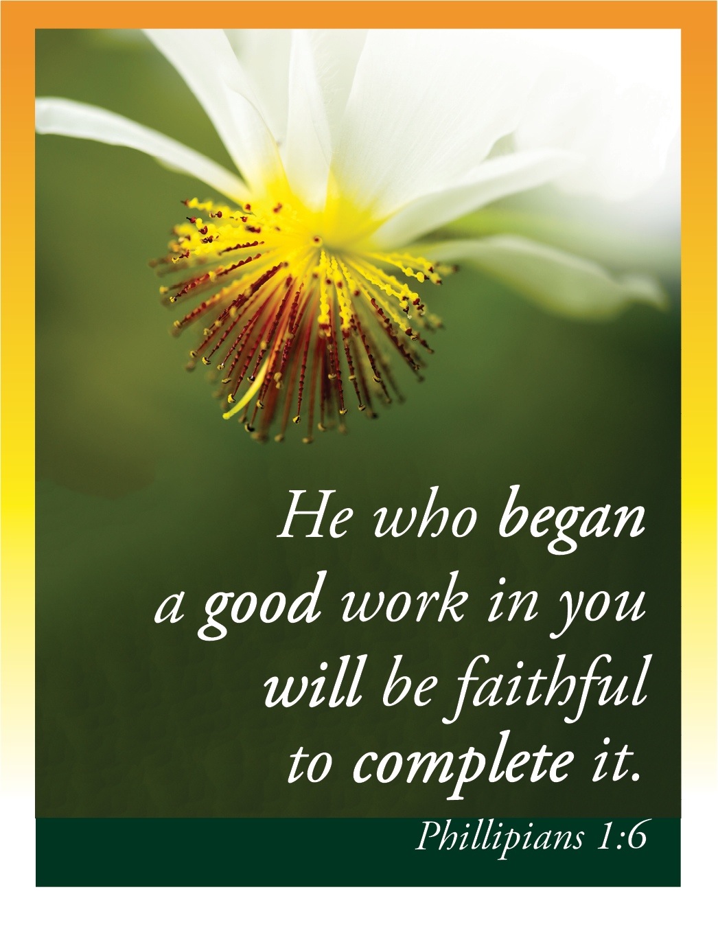 Encouraging My Heart – thelifeididntchoose