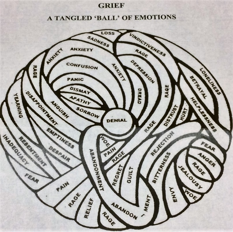 Wondering If All These Crazy Emotions Are Normal In Grief? Yes ...
