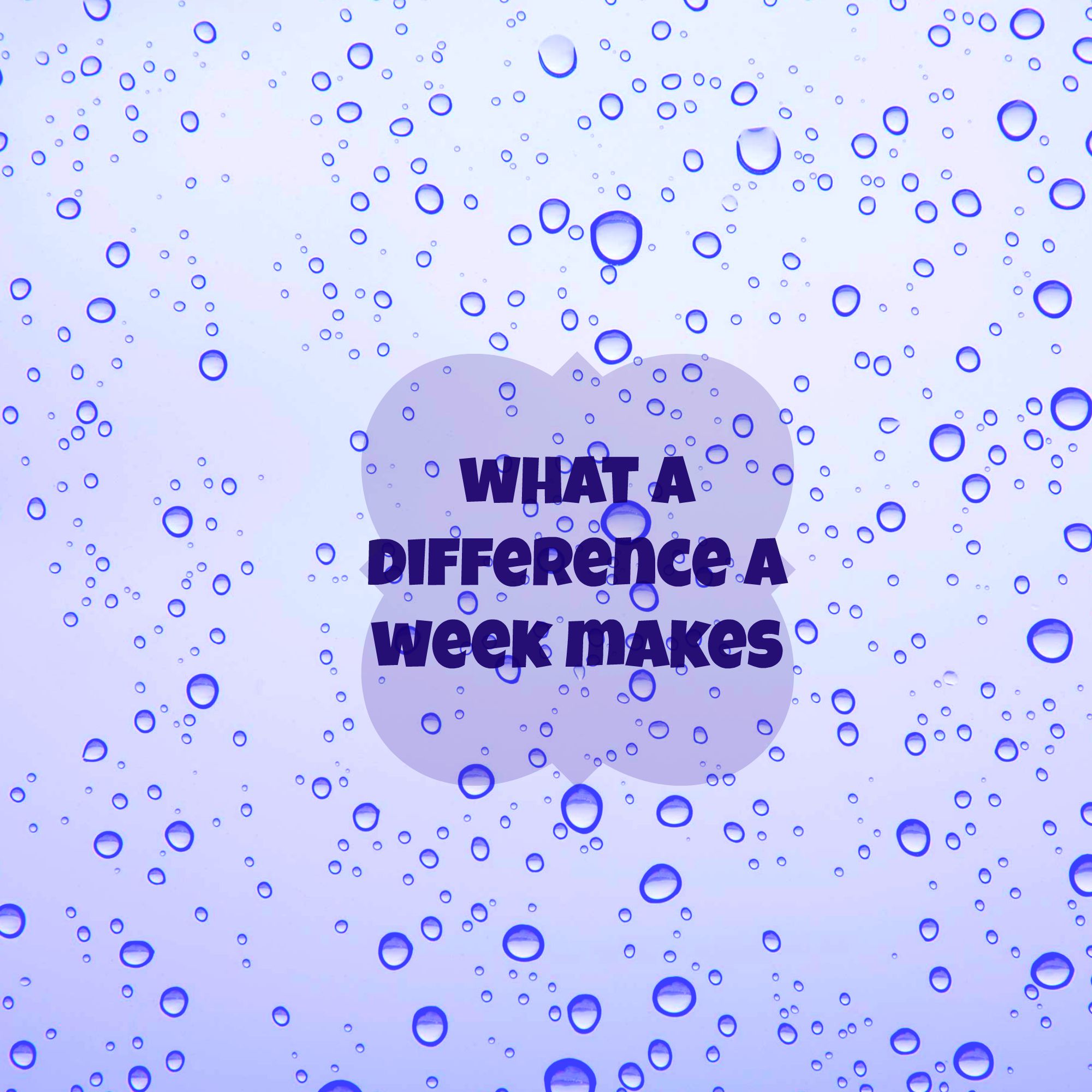 What A Difference A Week Makes! – thelifeididntchoose