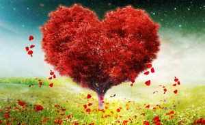 Understanding A Grieving Heart – thelifeididntchoose