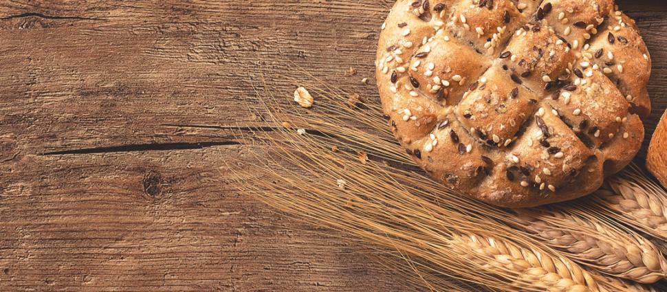 Daily Bread: His Provision Is Sufficient – thelifeididntchoose