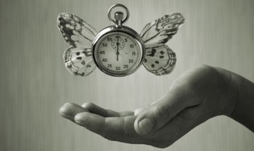 Eight Years Is a Long Time – thelifeididntchoose