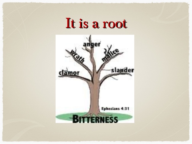 Bitterness Bears Poisonous Fruit – thelifeididntchoose