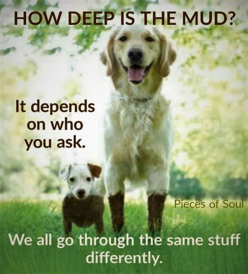 How Deep Is The Mud? Depends On Who You Ask. – thelifeididntchoose