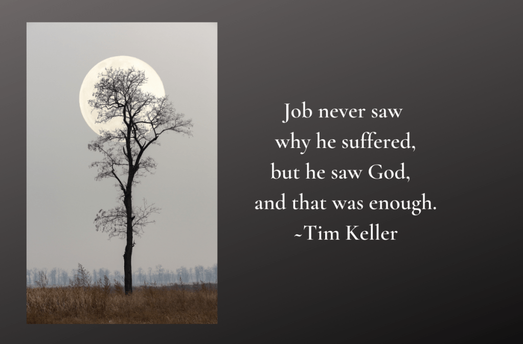 Living Without Answers – thelifeididntchoose