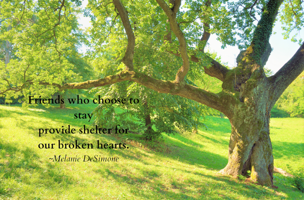 We All Need Sheltering Trees – thelifeididntchoose